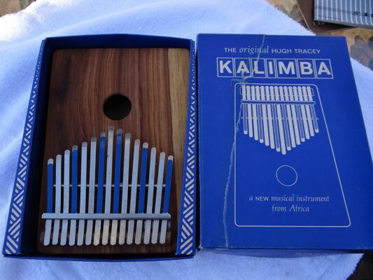 The 10 Best Kalimbas 2022 - MusicVibe