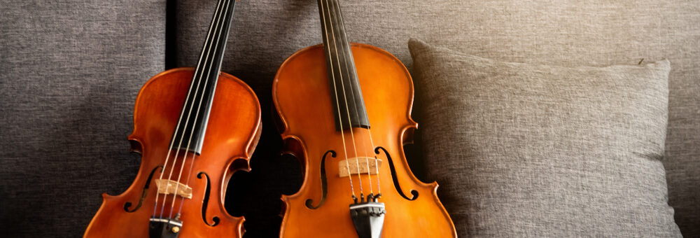 Violas and Violins – What’s the Difference? - MusicVibe