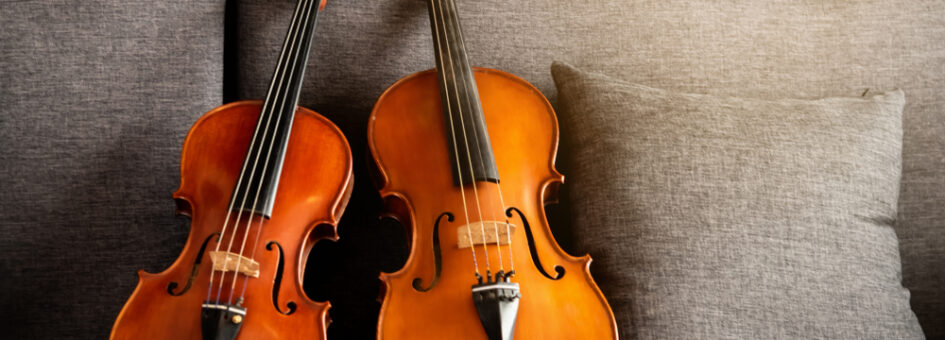 Violas and Violins – What’s the Difference? - MusicVibe